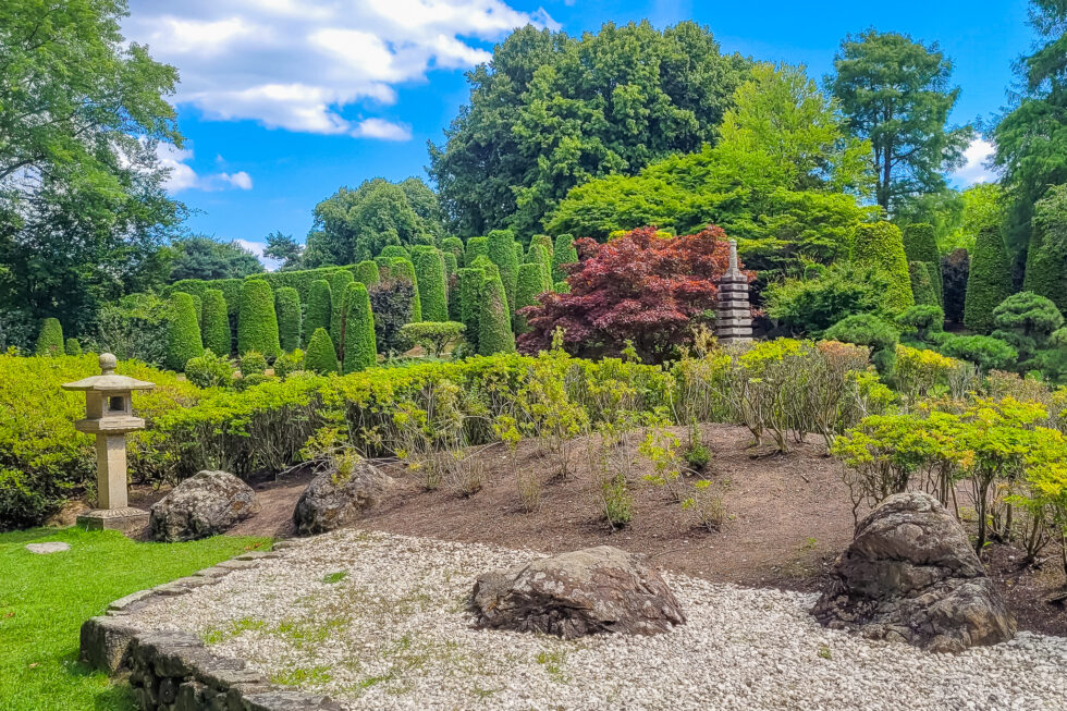 How to Spend 24 Hours in Bonn - Art of Touring